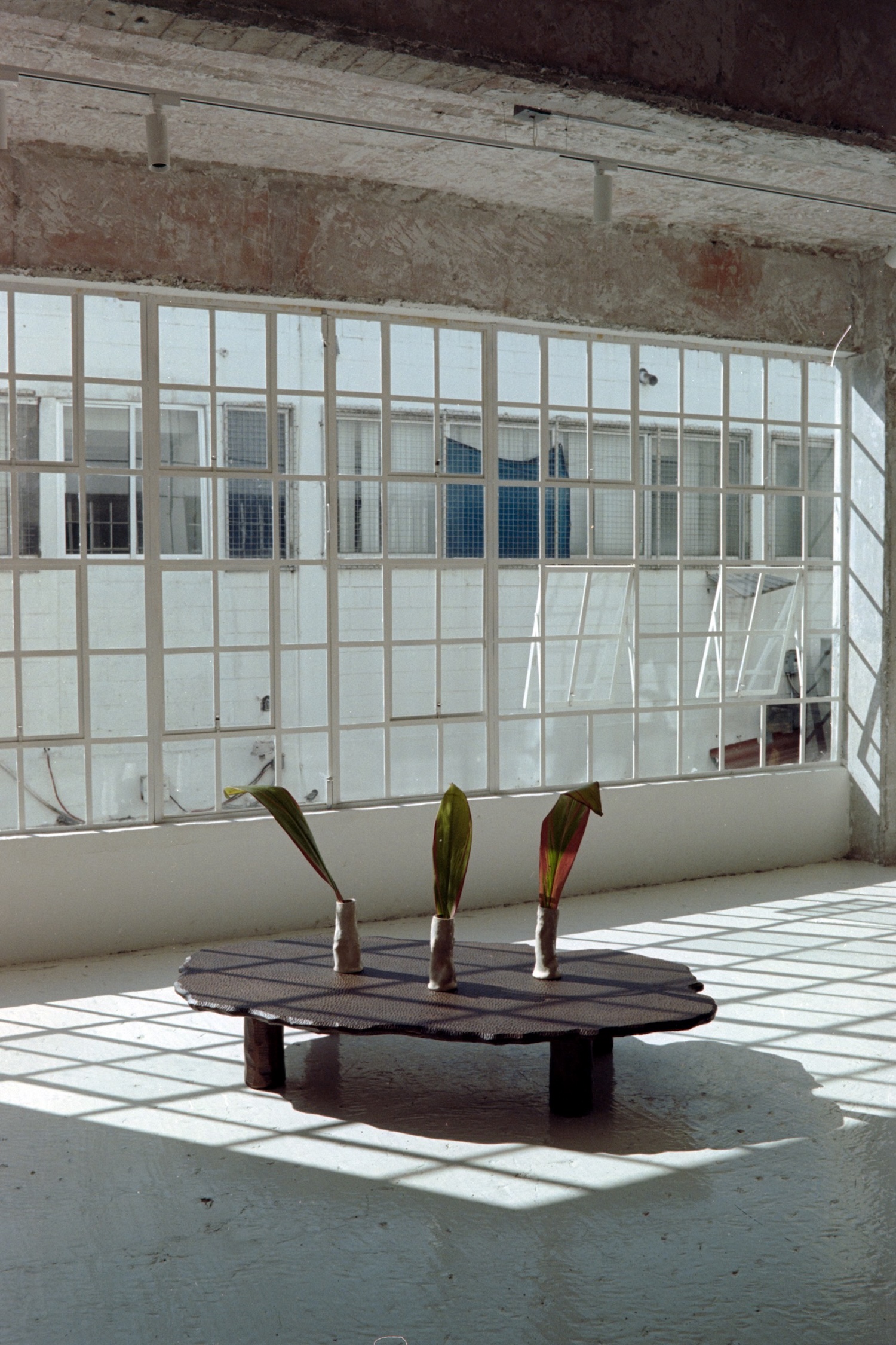 Leibal — Mare Coffee Table